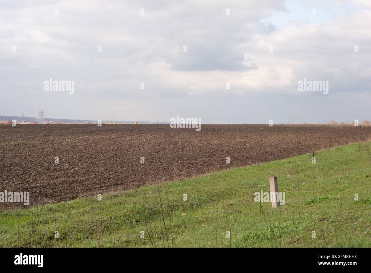 Minimalistic view fresh grass hi-res stock photography and images - Alamy