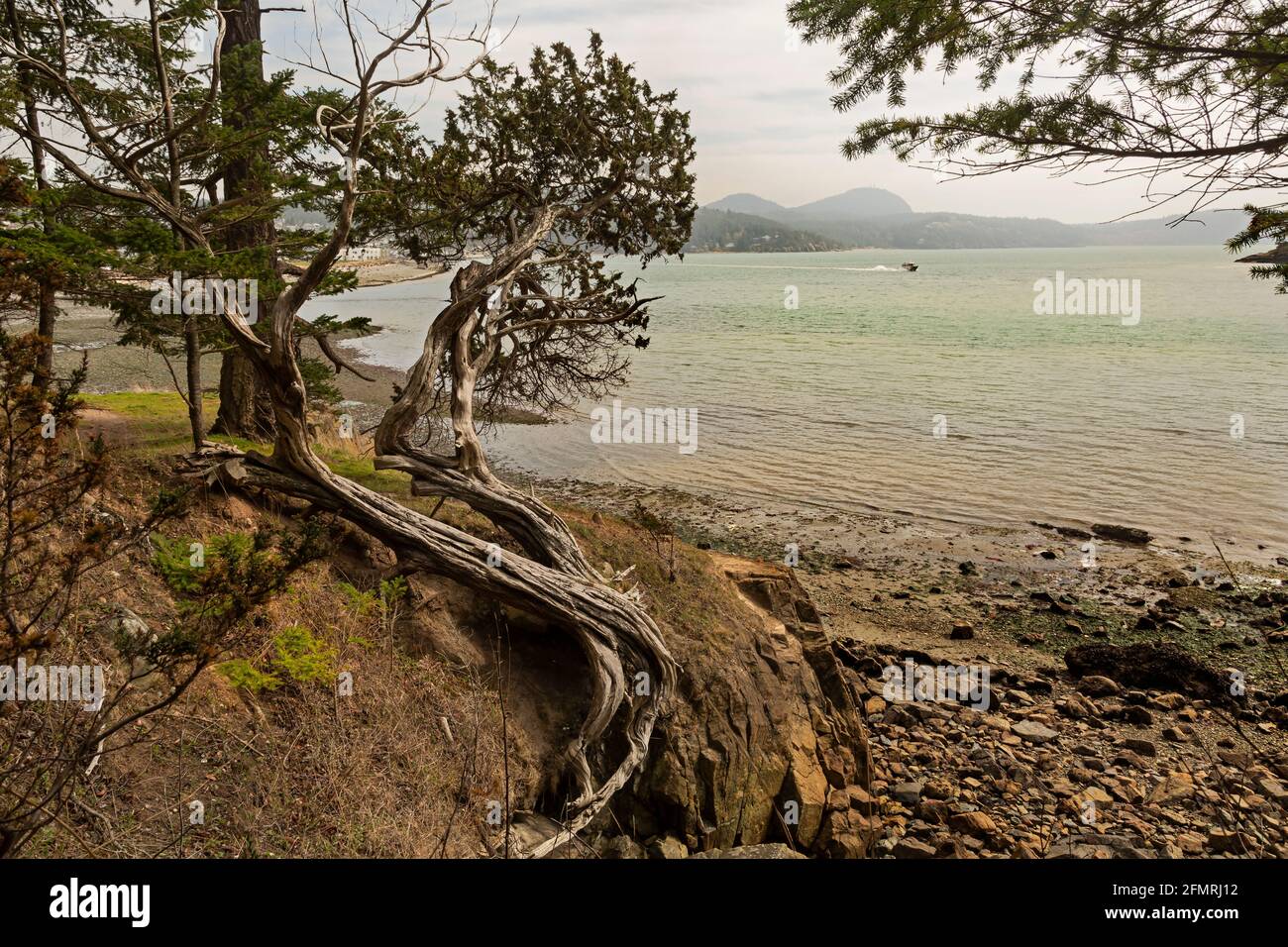 Old city viewed from overlook hi-res stock photography and images - Alamy