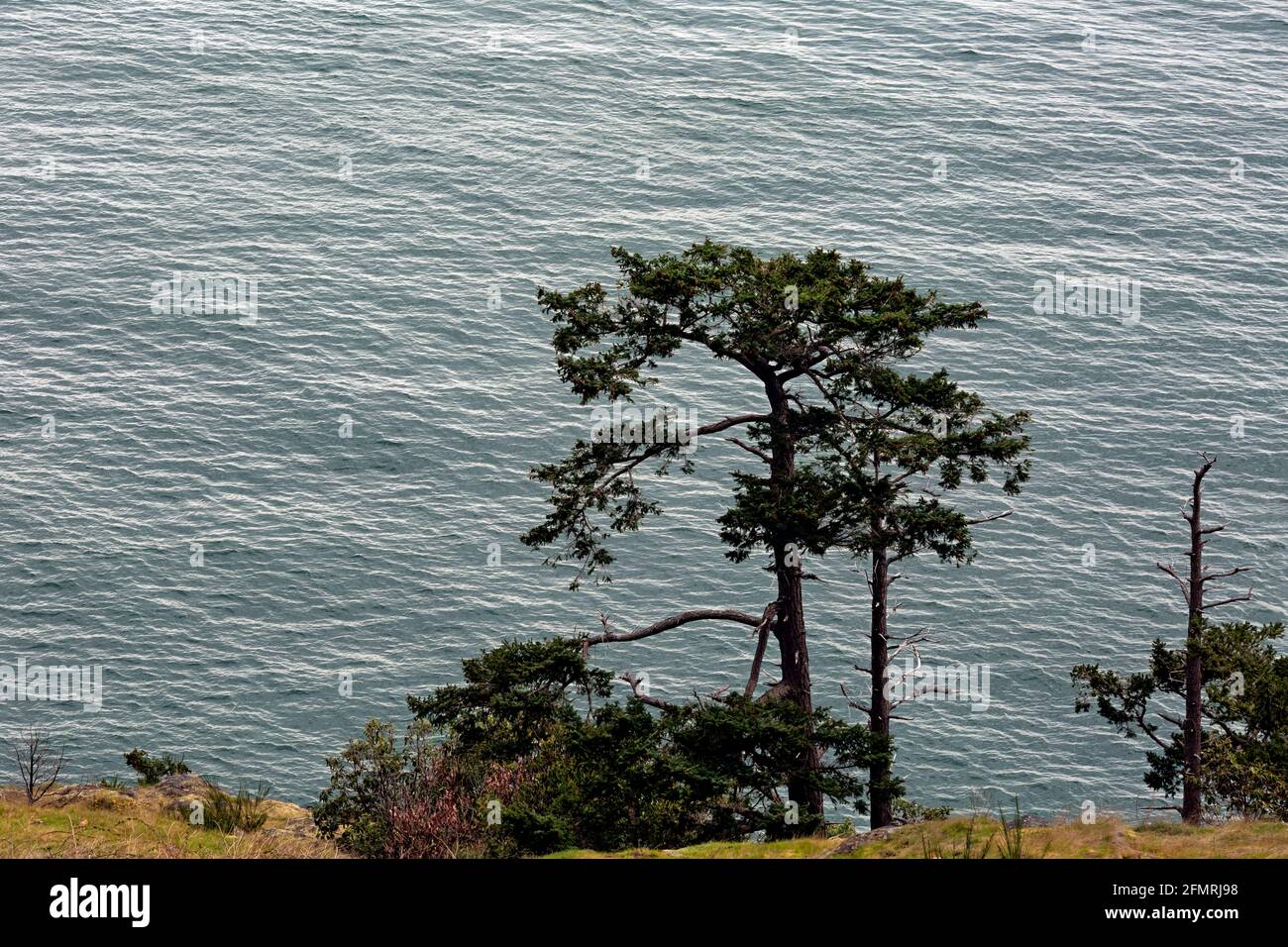 Sound strait hi-res stock photography and images - Alamy