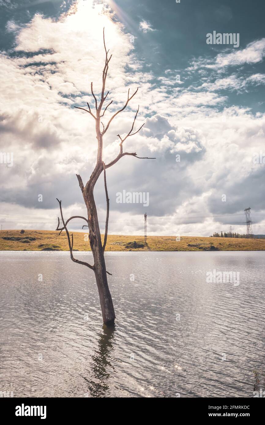 Midmar dam hi-res stock photography and images - Alamy