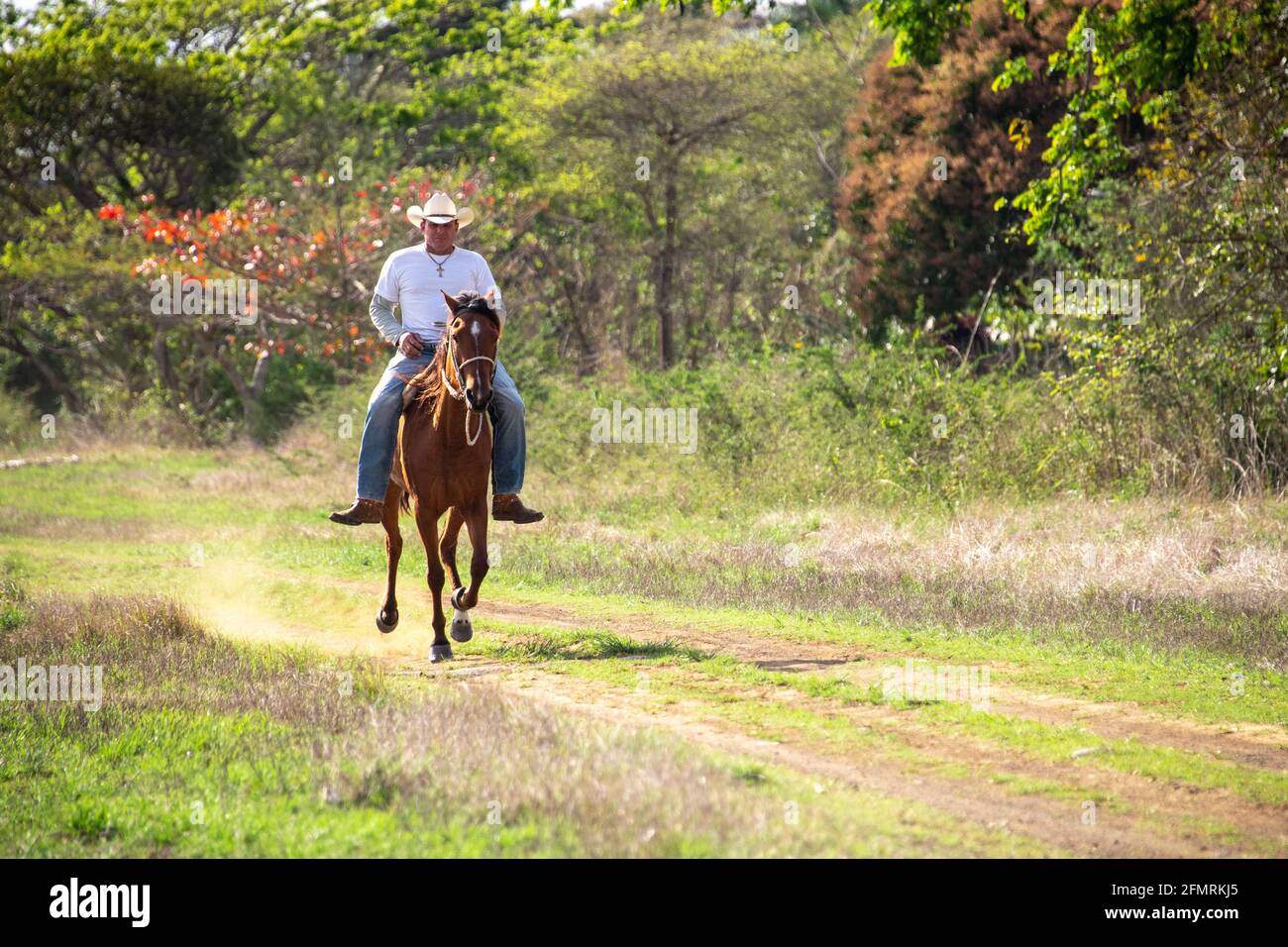 Cuban ride hi-res stock photography and images - Alamy
