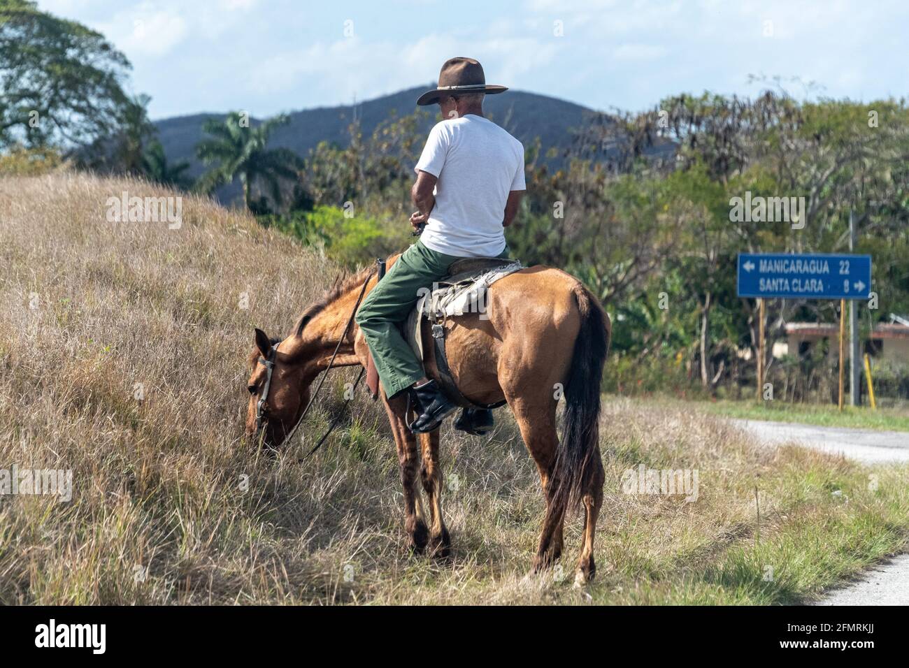 Cuban man riding horse Stock Photo - Alamy