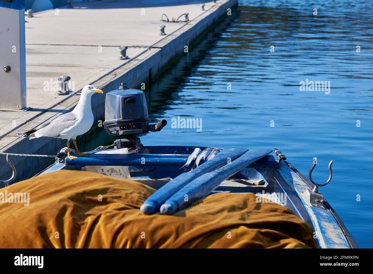 Gull wing hull hi-res stock photography and images - Alamy