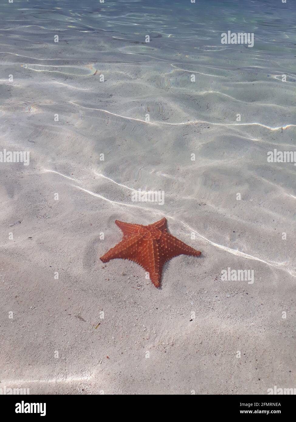Nargana panama hi-res stock photography and images - Alamy