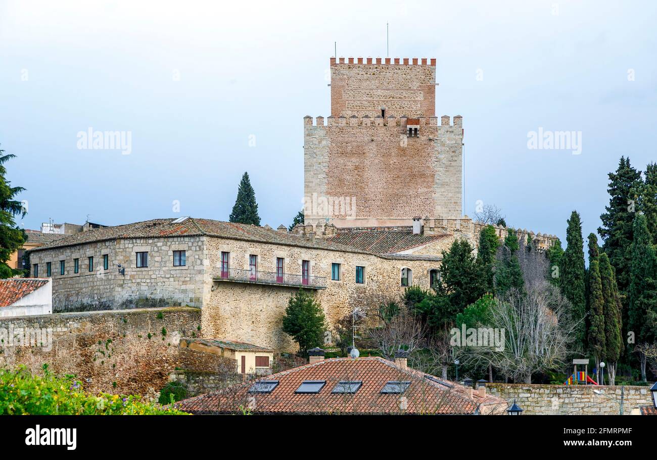 The Castle of Henry II, also known as Henry II Castle or Castle ...