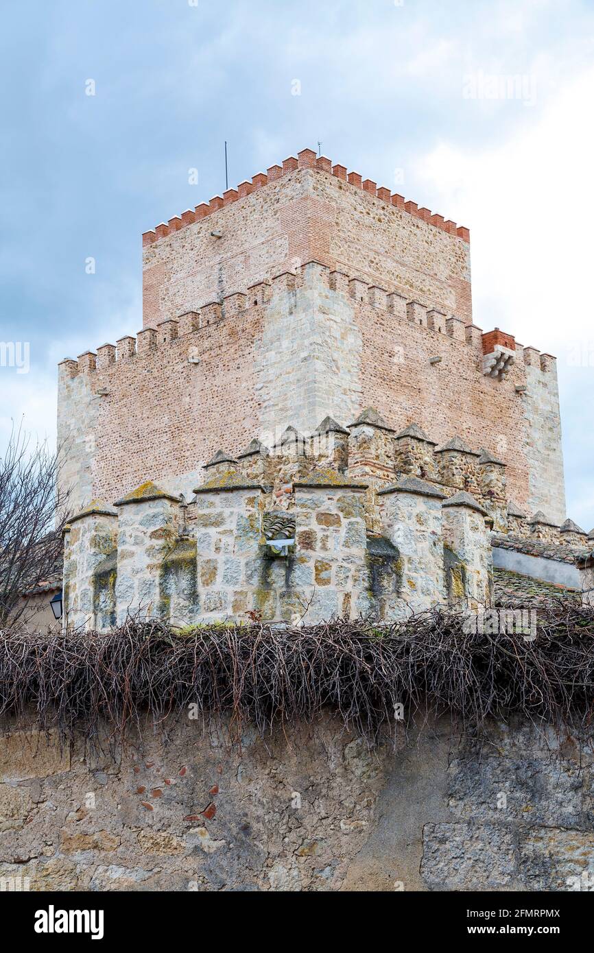 The Castle of Henry II, also known as Henry II Castle or Castle ...