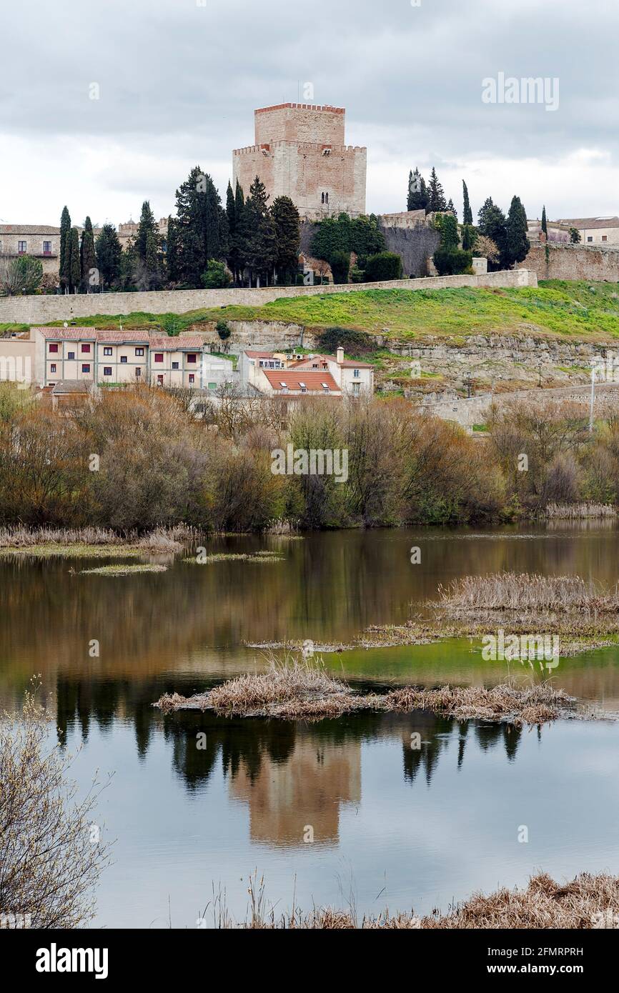The Castle of Henry II, also known as Henry II Castle or Castle ...