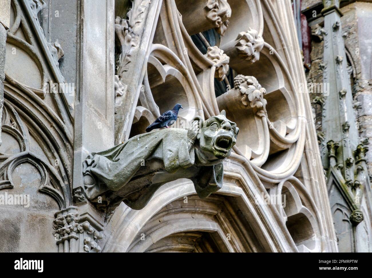 Gargoyle Cathedral Carcassonne, France. Front Gate Stock Photo - Alamy
