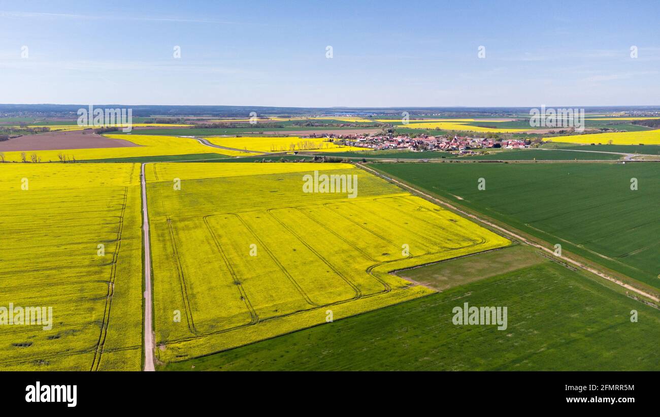 Aerial canola hi-res stock photography and images - Alamy