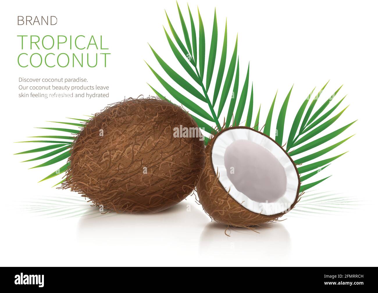 Coconut leaves Stock Vector Images - Alamy