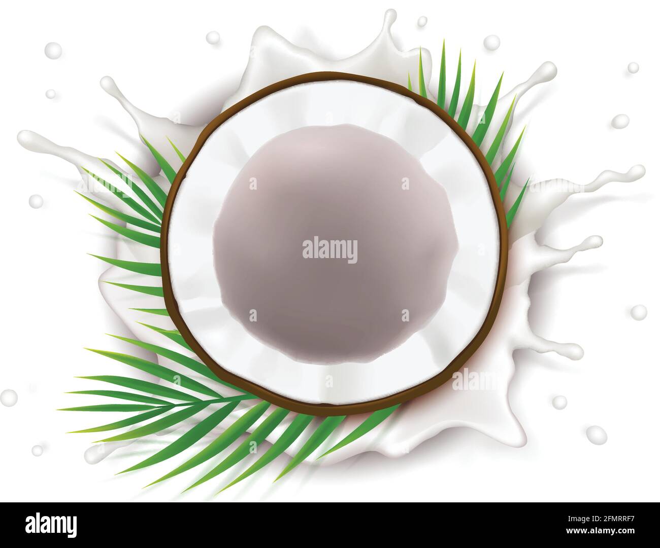 Cracked coconut milk on Stock Vector Images - Alamy