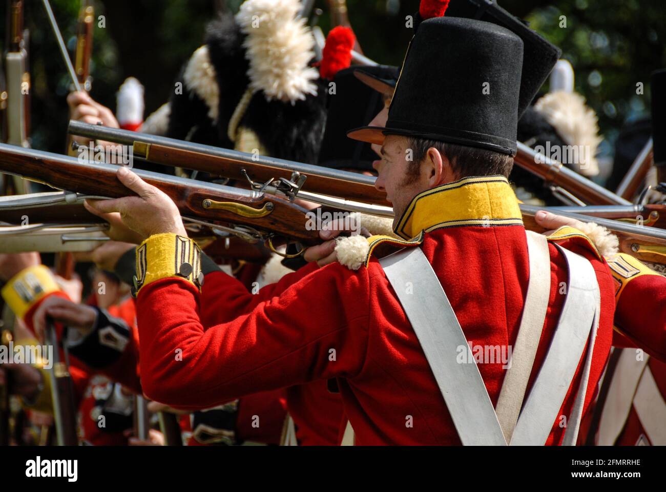 Redcoats of a line regiment: British infantry in the Allied camp ...