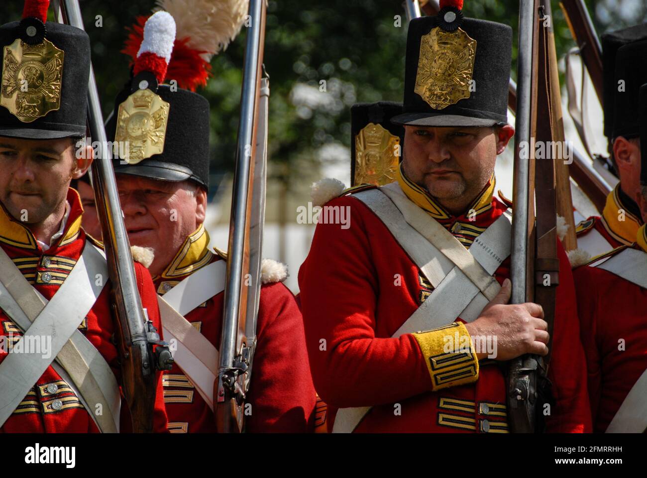 Redcoats of a line regiment: British infantry in the Allied camp ...