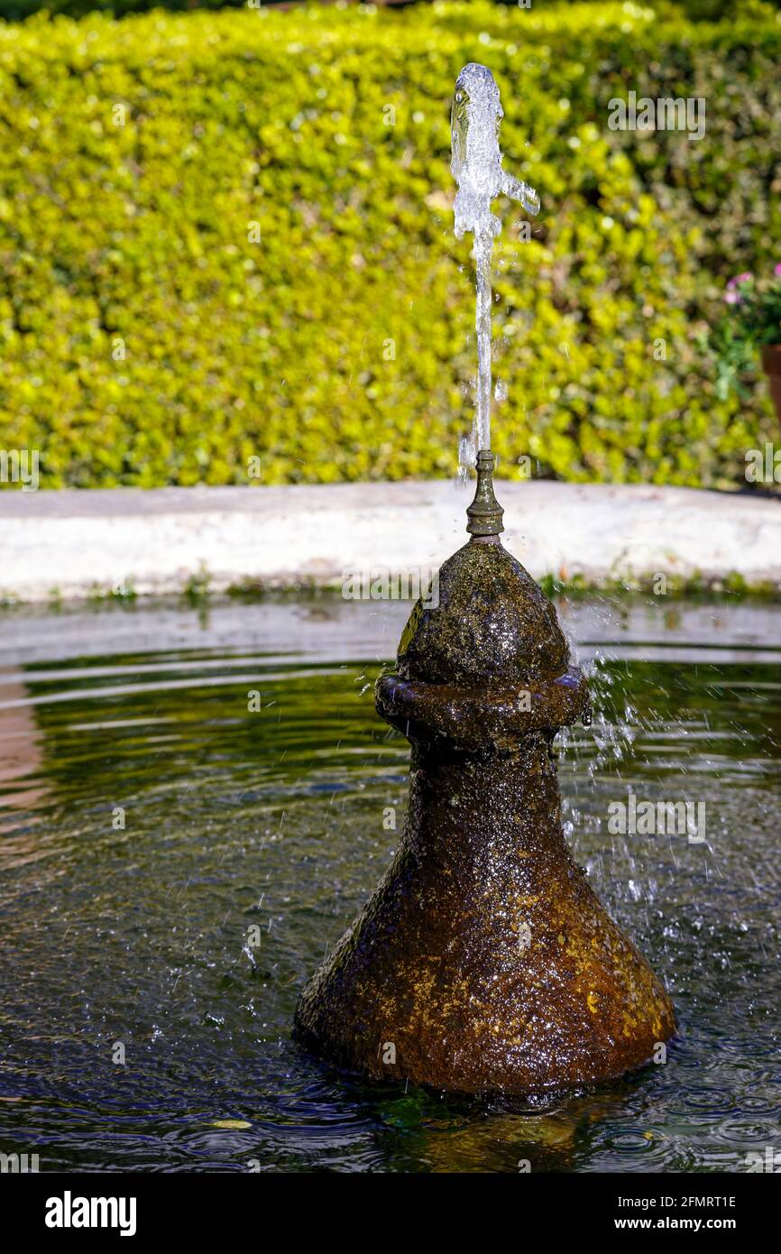 Typical Andalusian patio with fountain and numerous plants geraniums ...