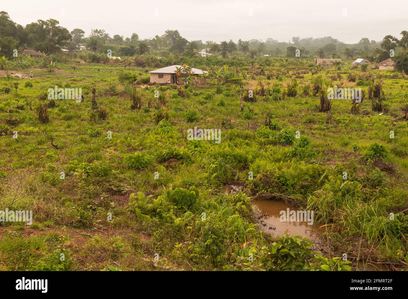 Rural village, Sinoe County, Liberia, West Africa Stock Photo - Alamy