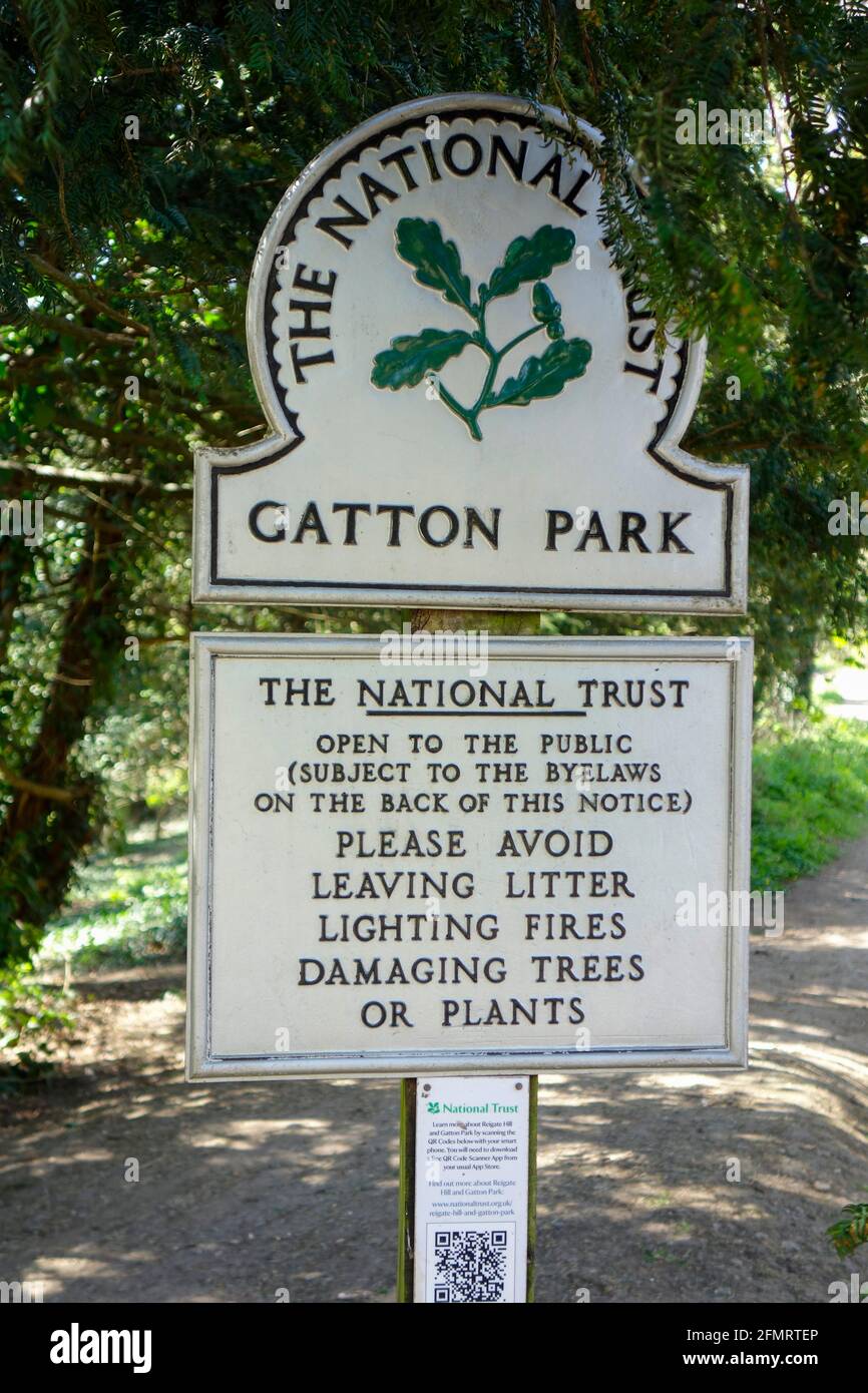 Gatton park reigate hi-res stock photography and images - Alamy