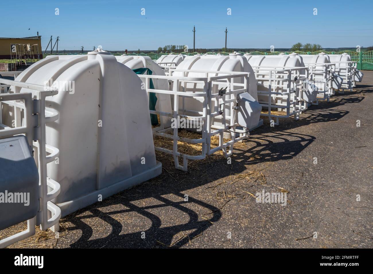 Dairy calf and hutch hi-res stock photography and images - Alamy