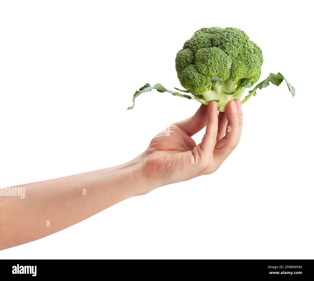 Hand with broccoli Cut Out Stock Images & Pictures - Alamy