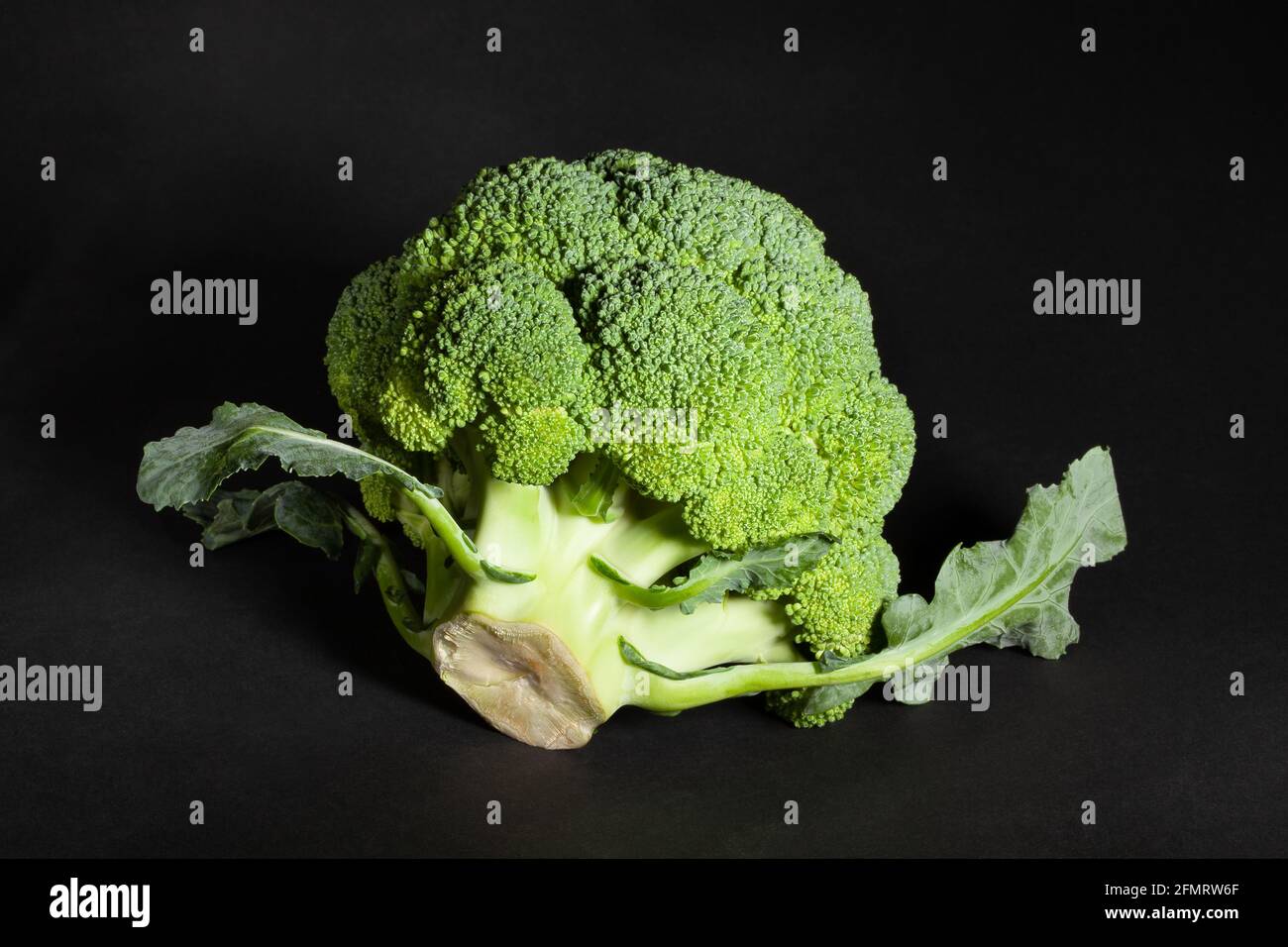 single broccoli on black background Stock Photo - Alamy