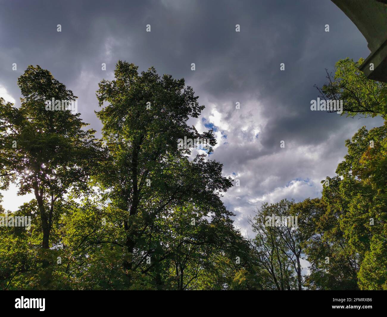 Clouds over trees hi-res stock photography and images - Alamy