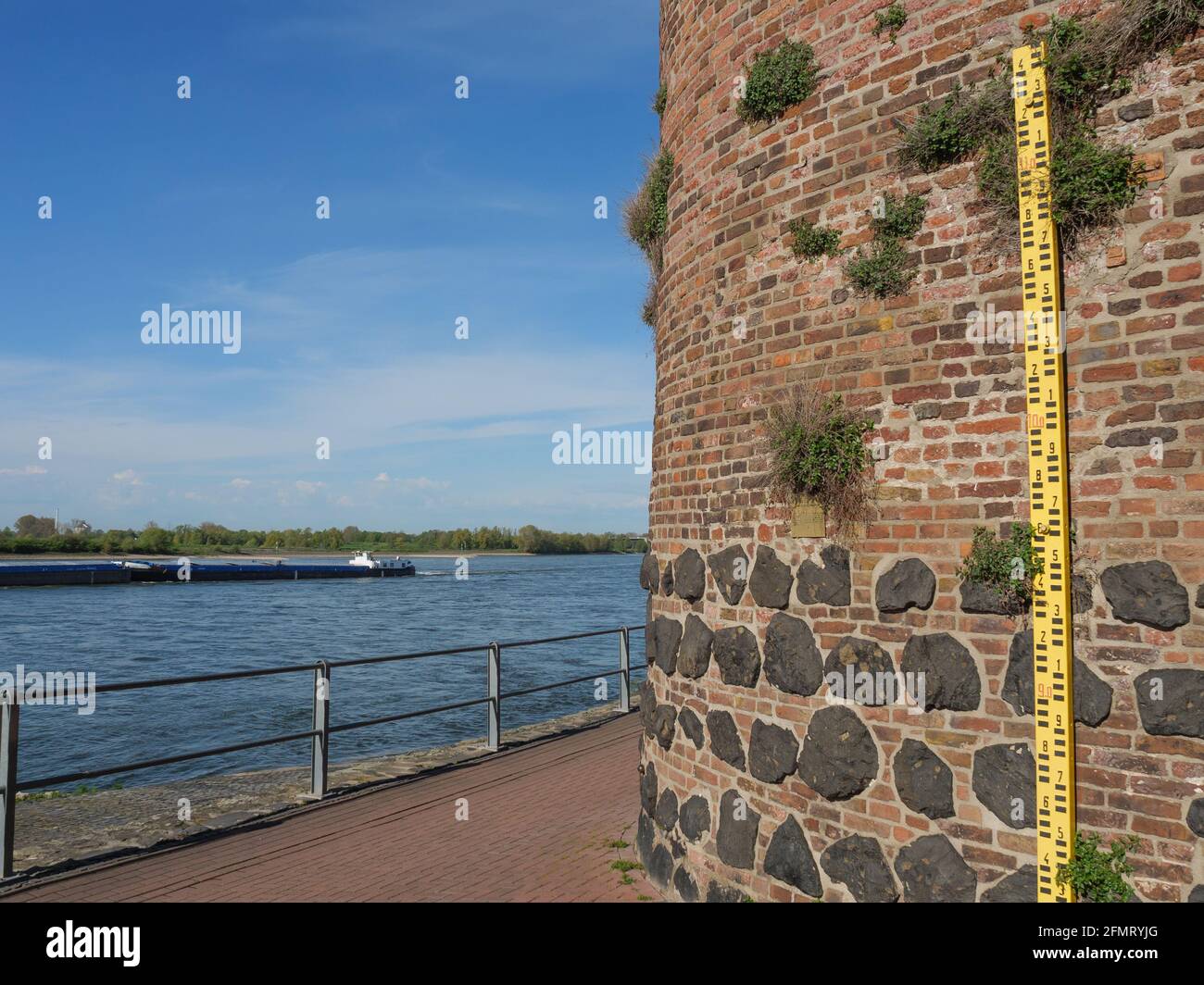 the river rhine near rees Stock Photo - Alamy
