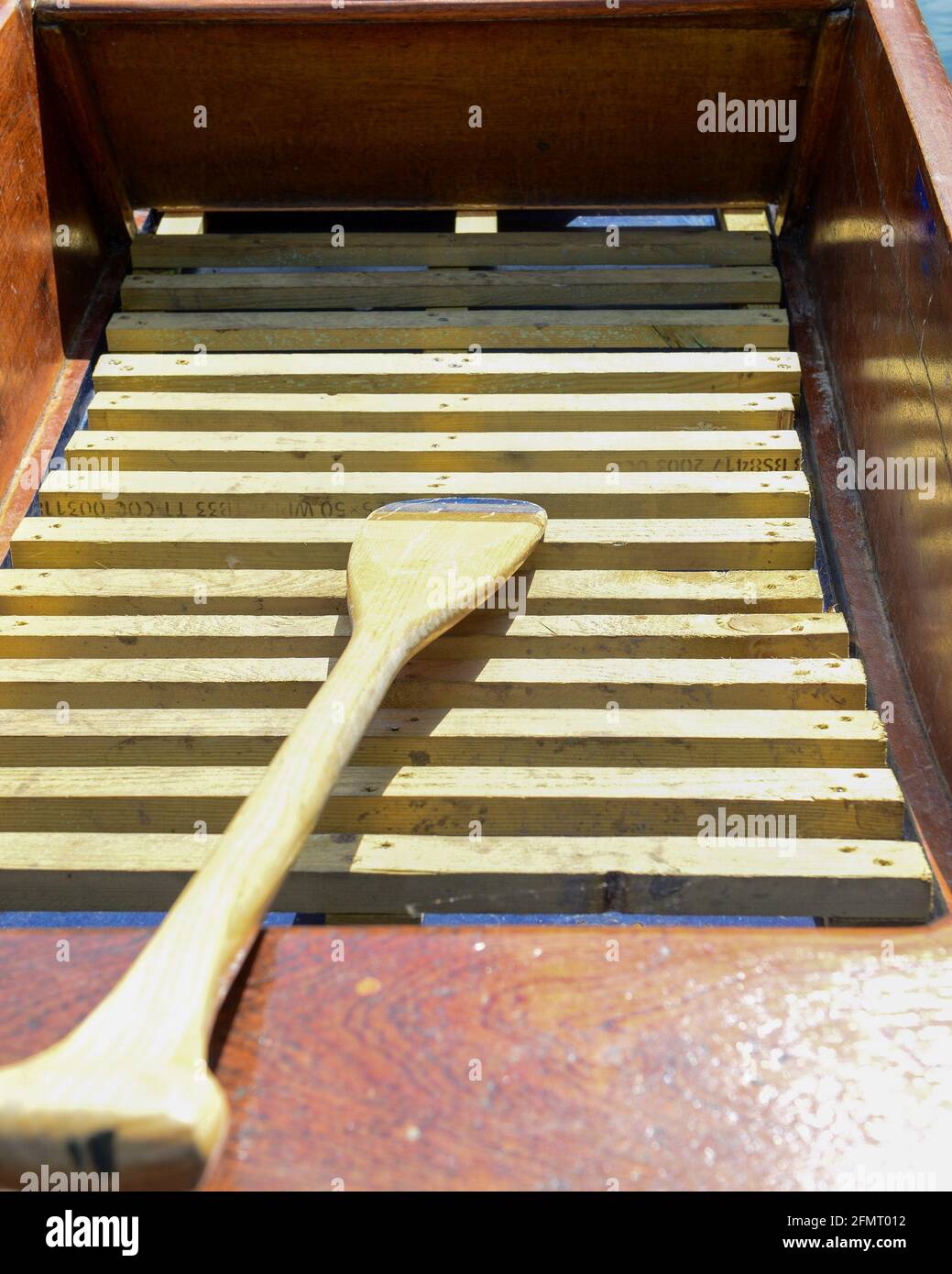 Close up of Coloured rowing oar Stock Photo - Alamy