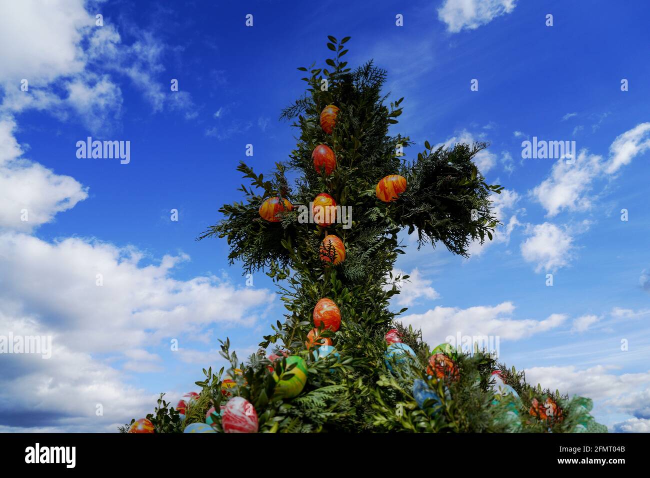 Easter is a religious festival with colored eggs and decorated bushes ...