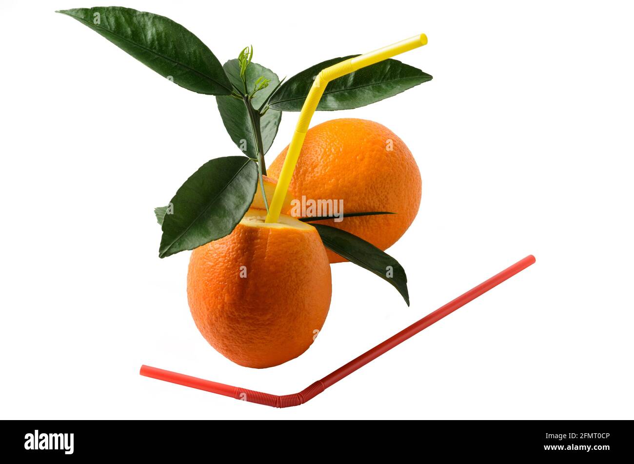 Natural orange juice. Oranges with a drinking tube and a sprig with ...