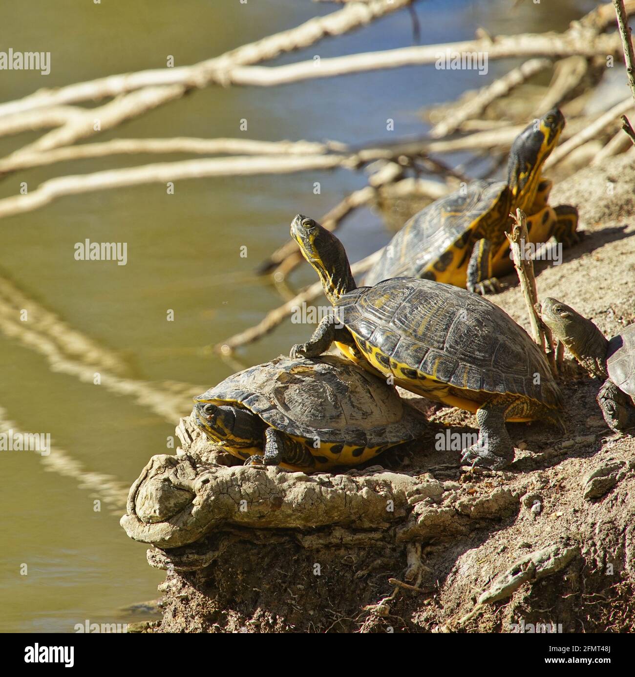 Rock sliders hi-res stock photography and images - Alamy