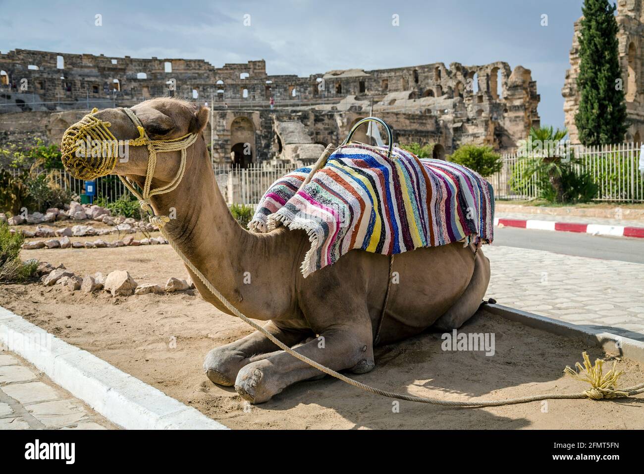 Roman amphitheater of El-Jam, colosseum, Tunisia, with closeup of ...