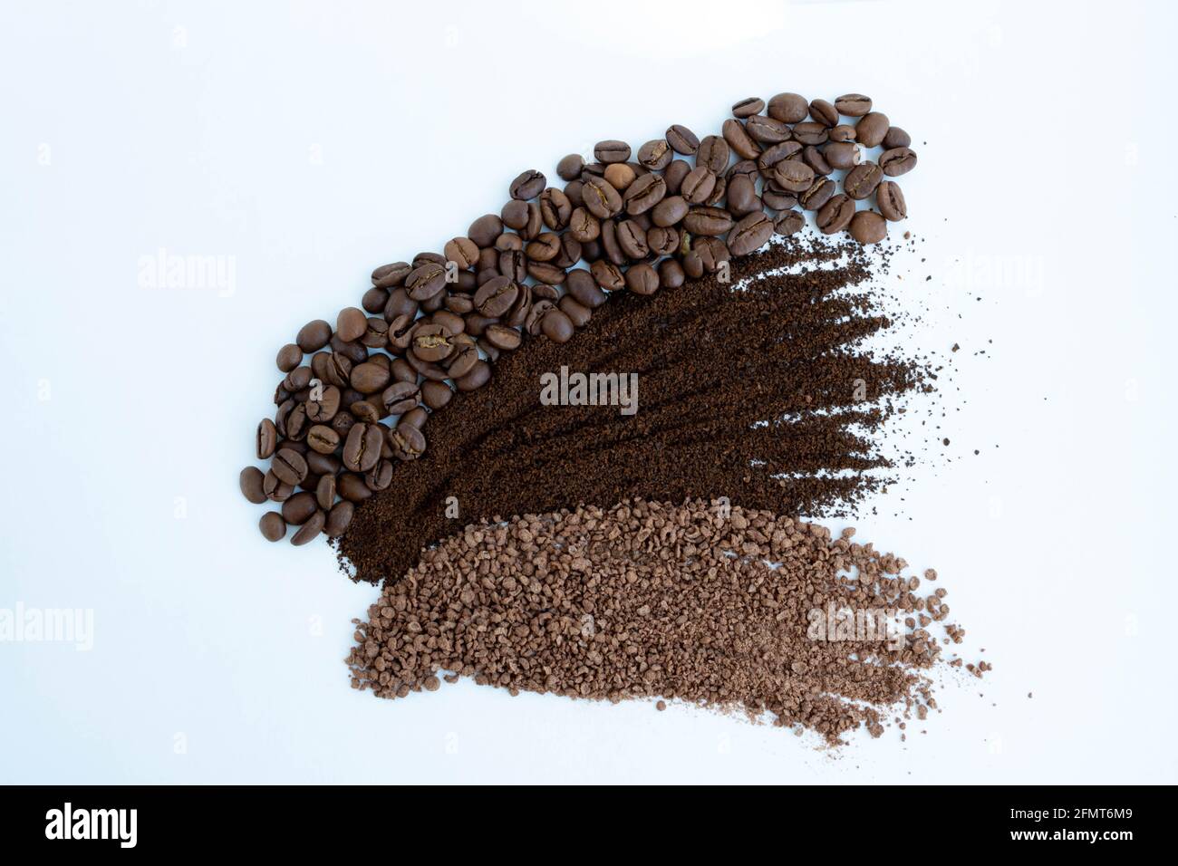 Chicory Seed High Resolution Stock Photography and Images - Alamy