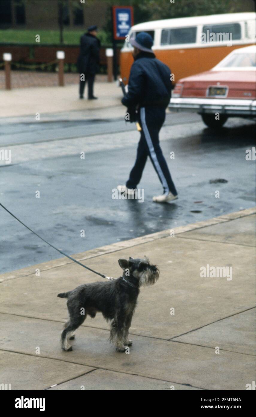 Street scene, Philadelphia PA, USA, 1976 Stock Photo - Alamy