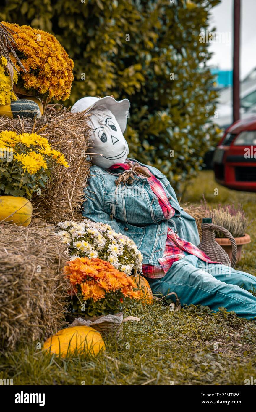 Cute happy scarecrow and fall decorations for thanksgiving Stock Photo ...