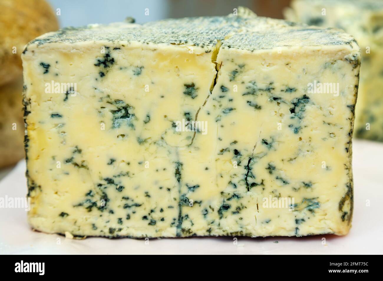 Cabrales cheese, typical of Asturias Spain drying, high mountain cave ...