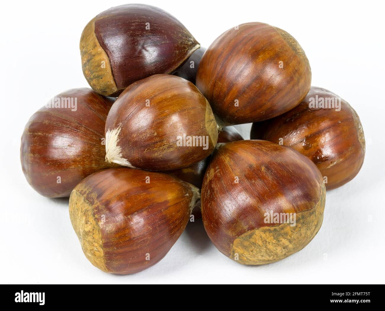 Sweet chestnuts isolated on white background Stock Photo - Alamy
