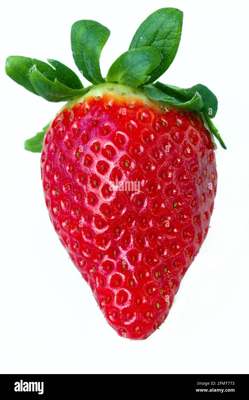 Single big Cut Out Stock Images & Pictures - Alamy