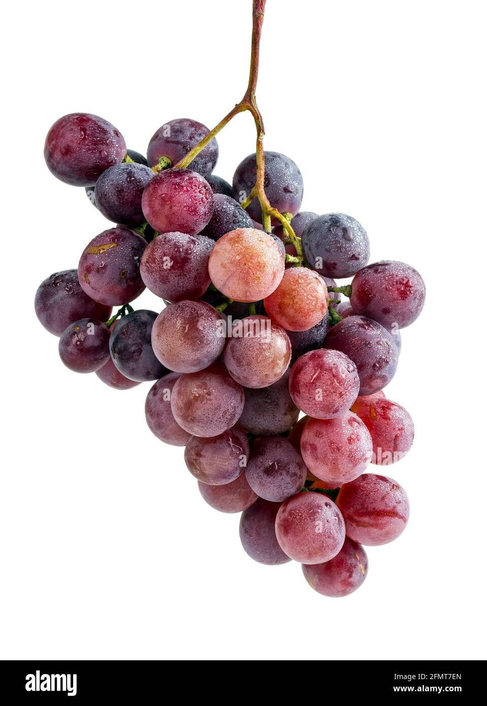 isolated red grapes on white background Stock Photo - Alamy