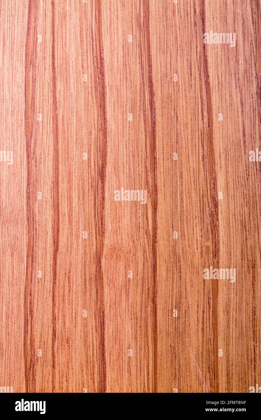 Chestnut wood flooring hi-res stock photography and images - Alamy
