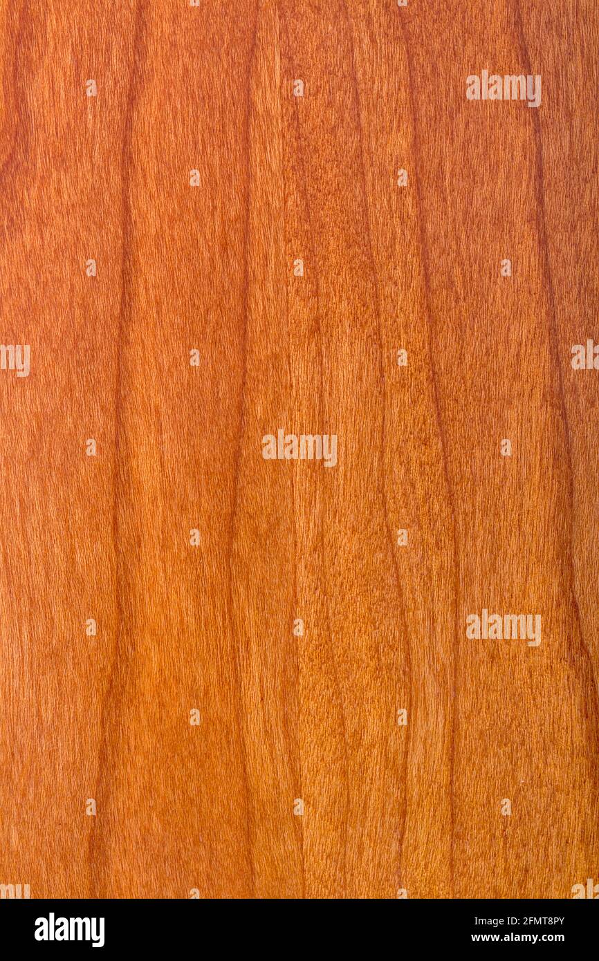 Texture cherry wood veneer hi-res stock photography and images - Alamy