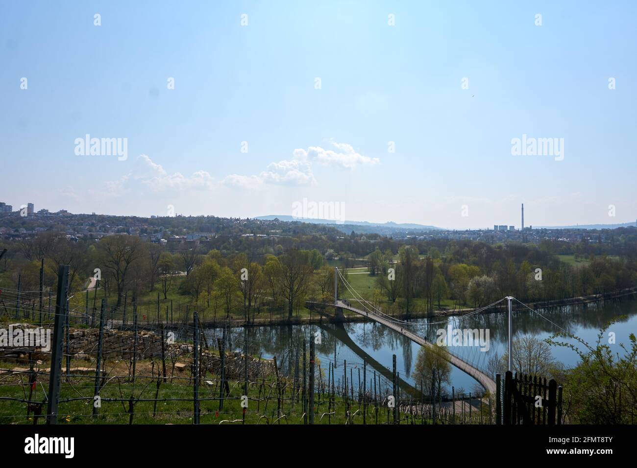 Scenic view of terracedvineyards and famous footbridge over the Neckar ...