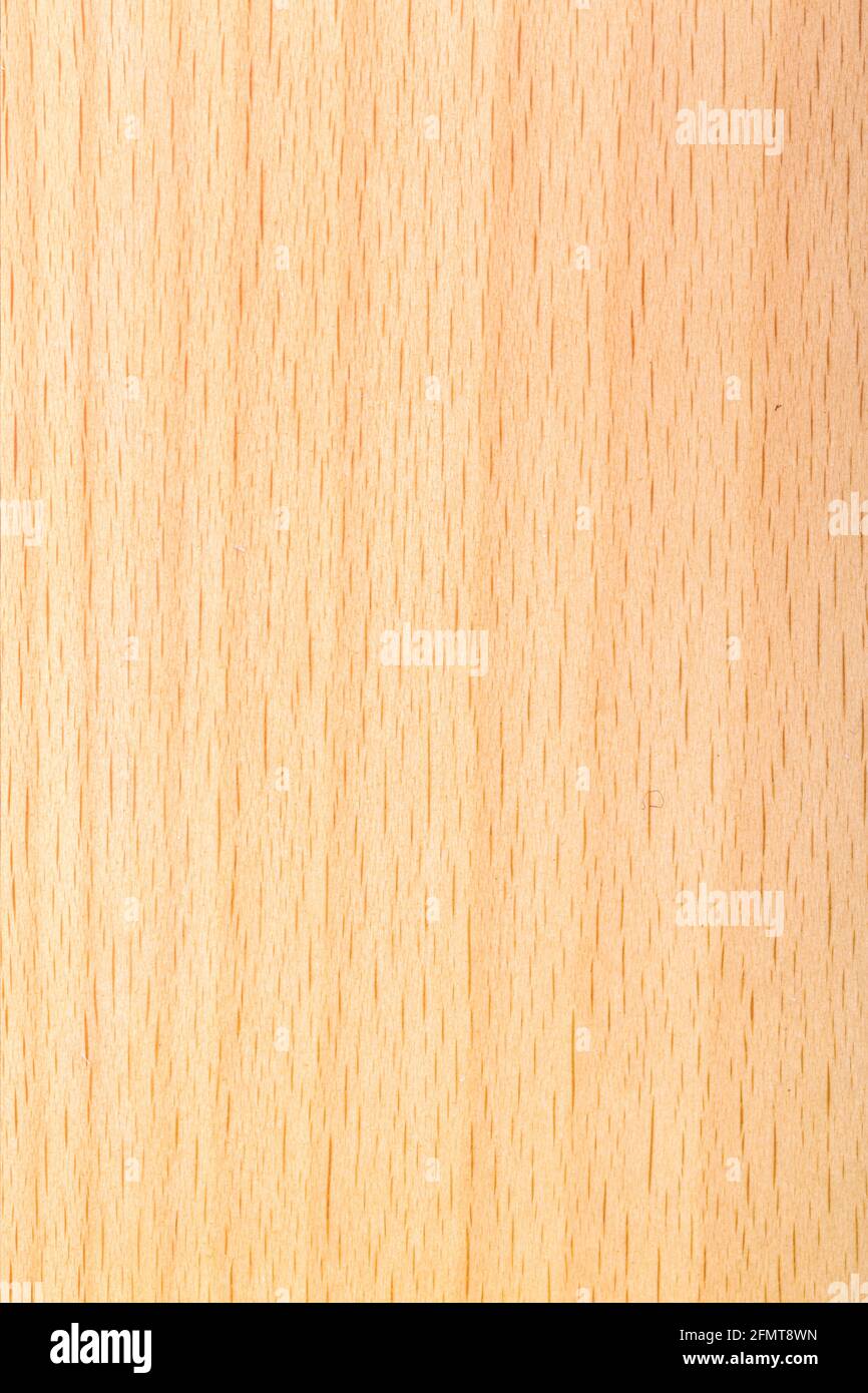 texture of natural wood, laminated wood varnished maple Stock Photo - Alamy