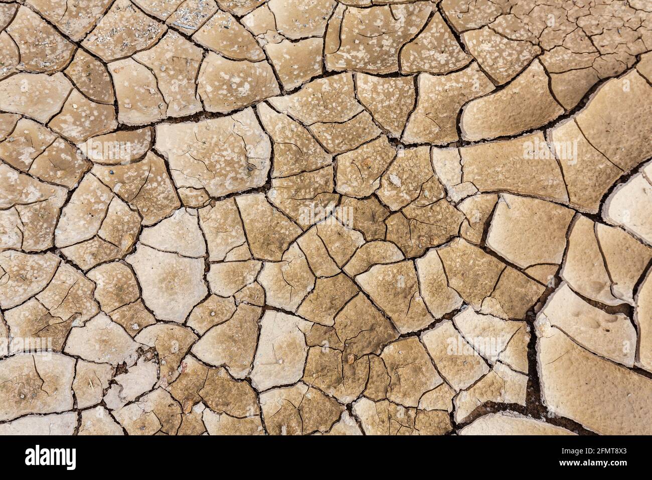 Texture of land dried up by drought, the ground cracks background with ...