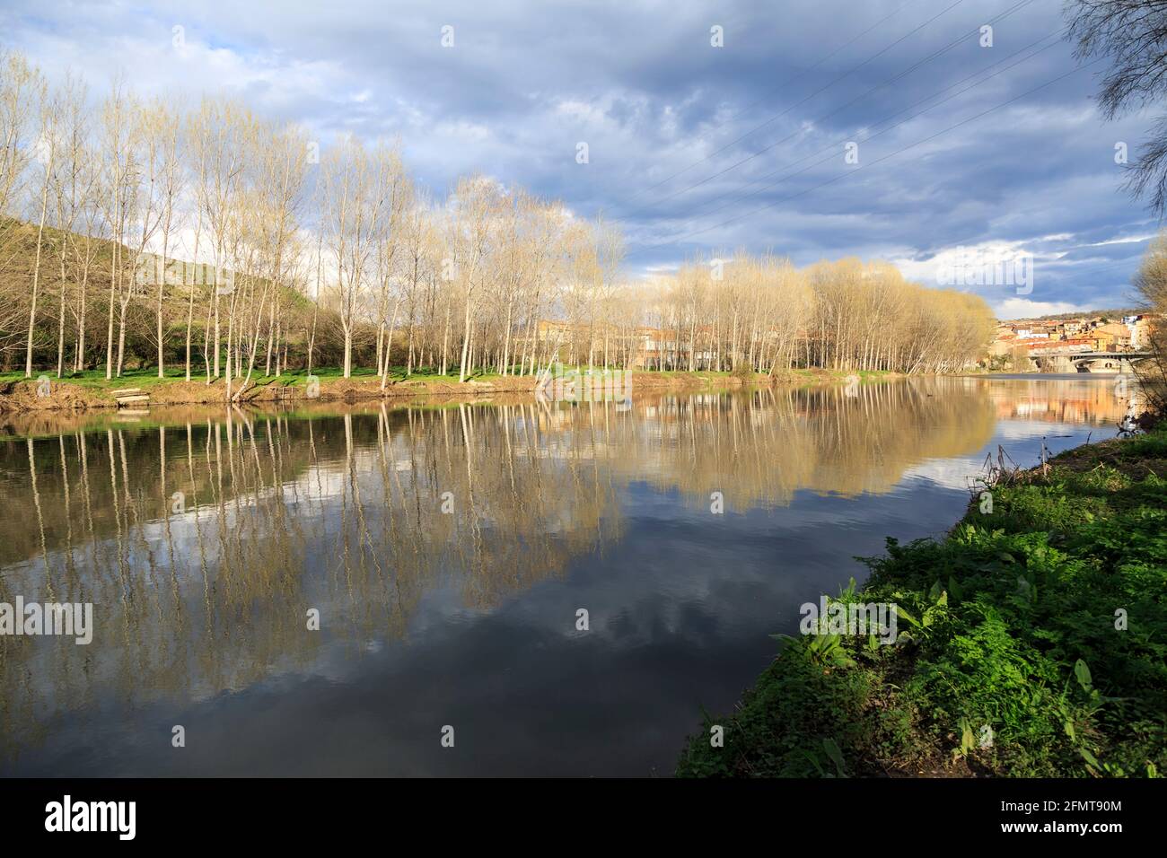 river Ter, reflections of the trees in its path by Roda, Catalonia ...