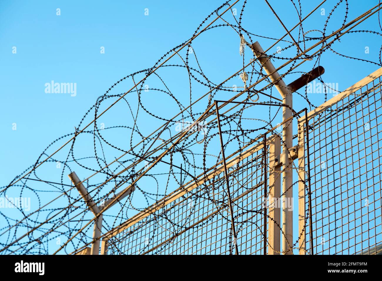 Closeup of coiled razor sharp barbed wire and concrete pole Stock Photo ...