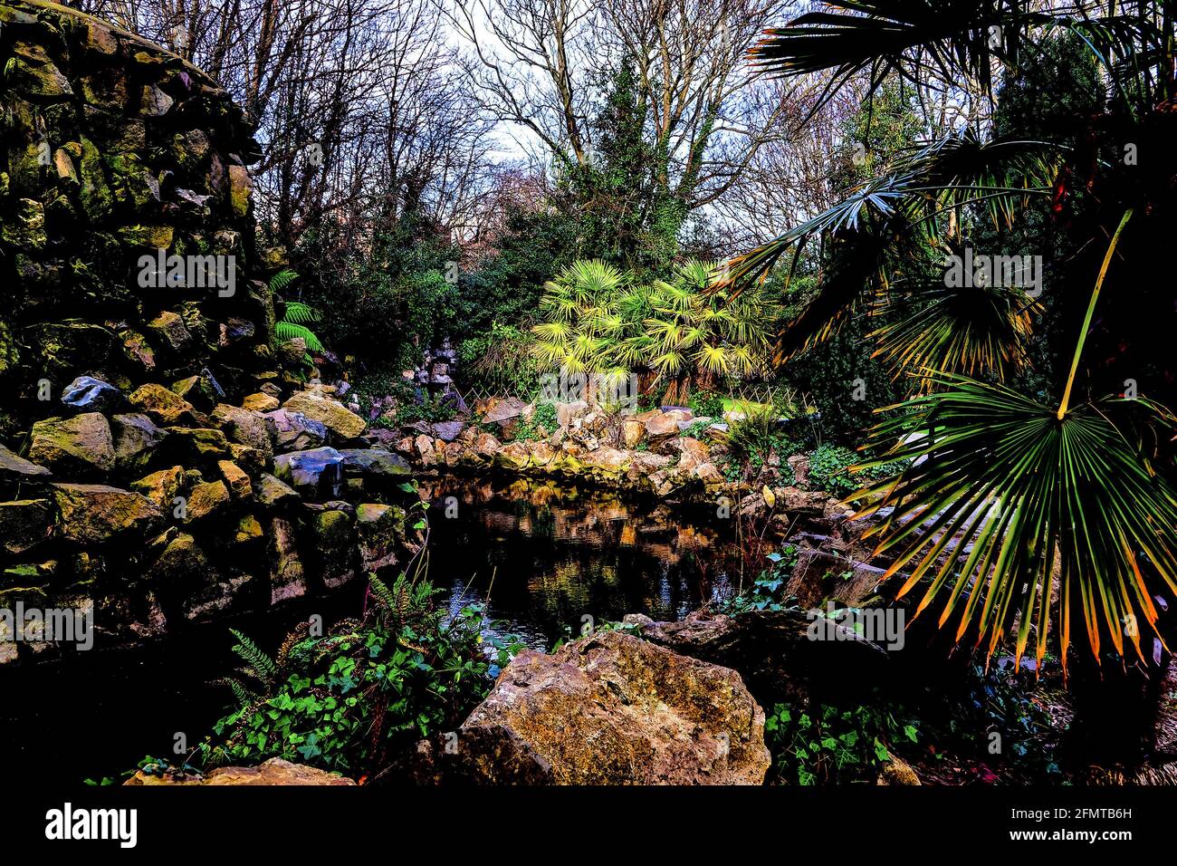 Tropical waterfall in Iveagh Gardens, Dublin, Ireland Stock Photo - Alamy
