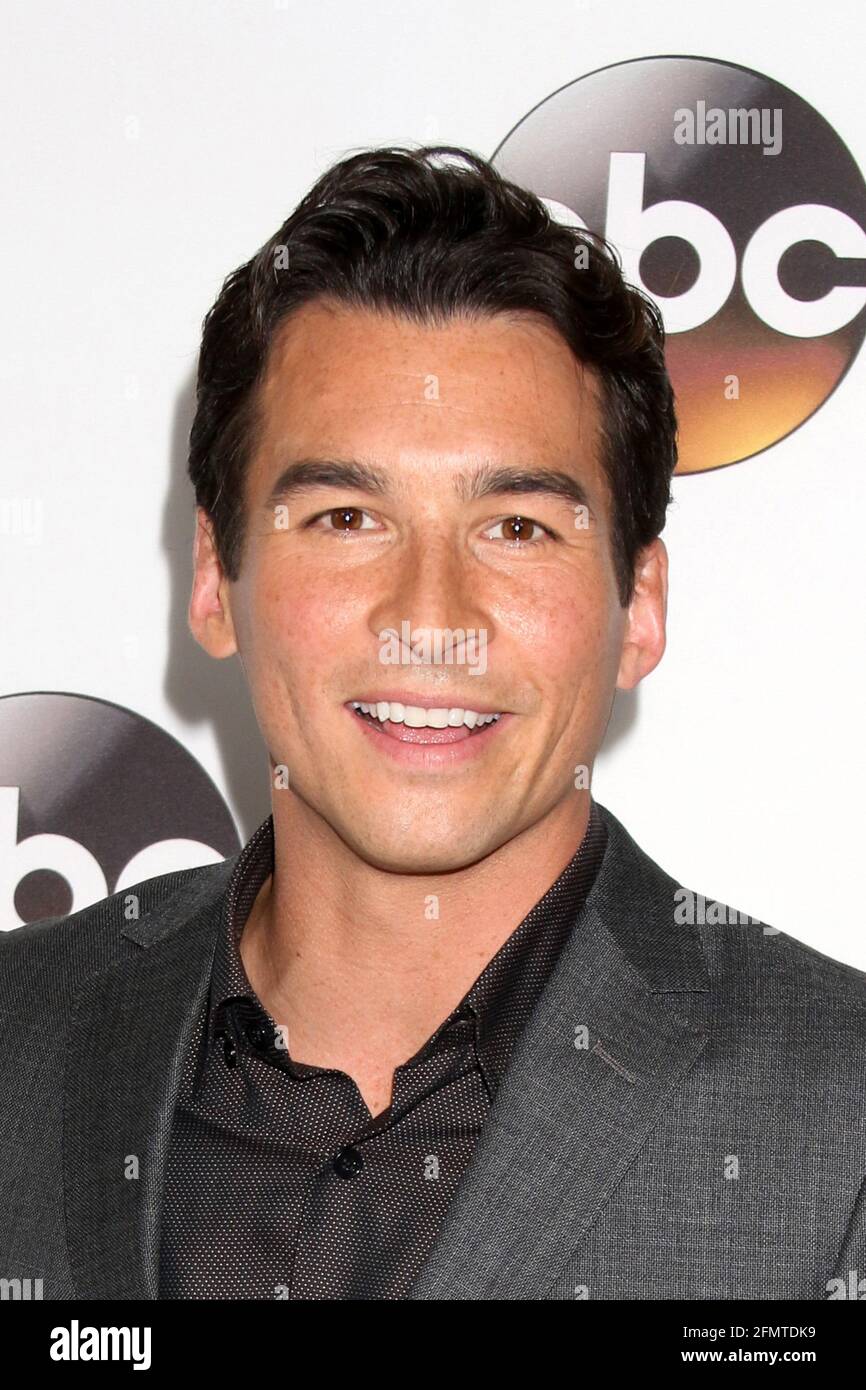 LOS ANGELES - JAN 10: Jay Hayden at the Disney/ABC TV TCA Winter 2017 ...