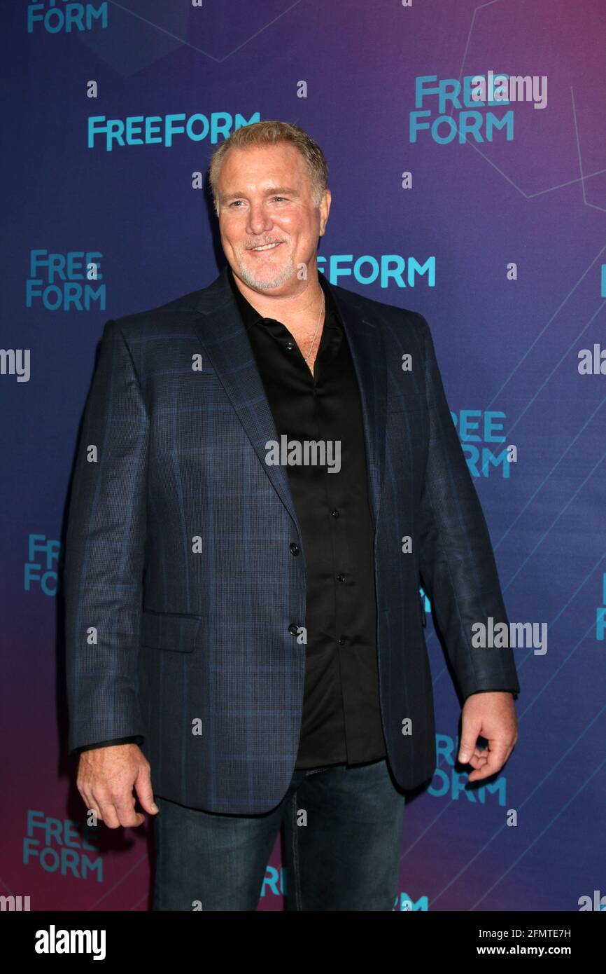 LOS ANGELES - JAN 10: Michael McGrady at the Disney/ABC TV TCA Winter ...