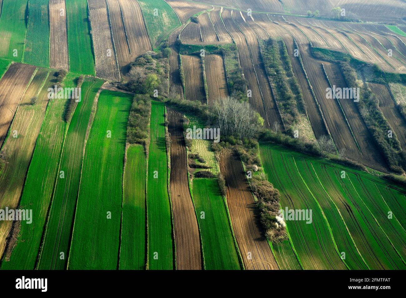 aero, air, beauty, country, earth, weather, earth, green, spring ...