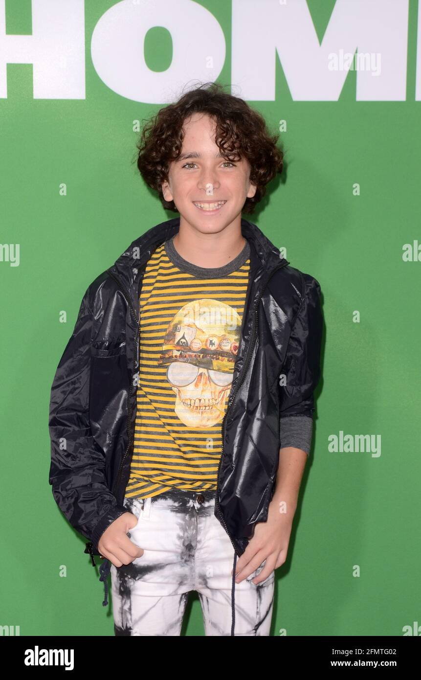 LOS ANGELES - NOV 5: Jason Drucker at the "Daddy's Home 2" Los Angeles ...