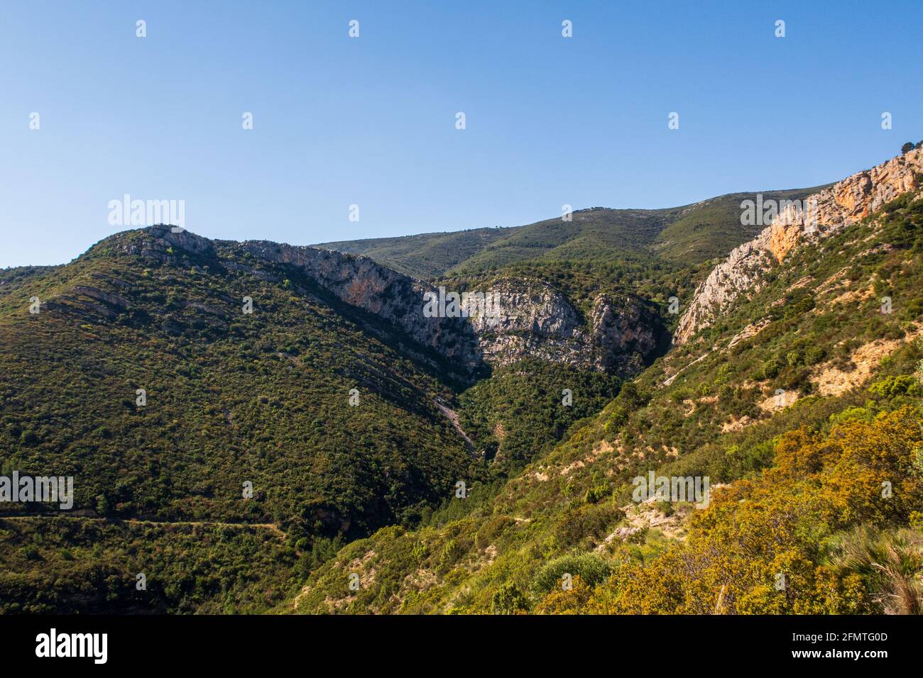 Landscape of hills covered in greenery under the sunlight in Valencia ...